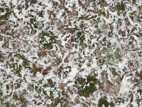 frozen ground texture 0017 - Texturelib